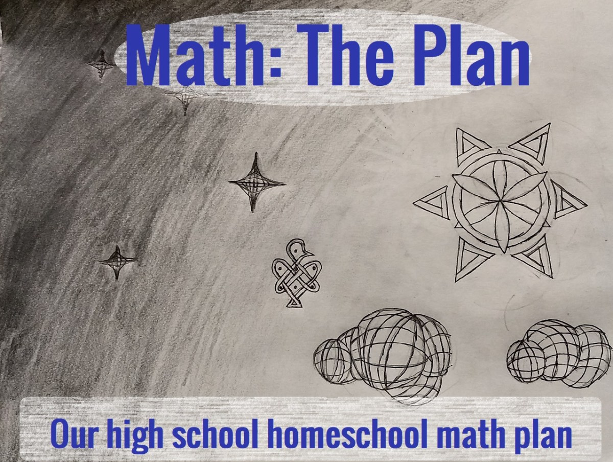 High School Math – The Plan – Top of Her Class of One
